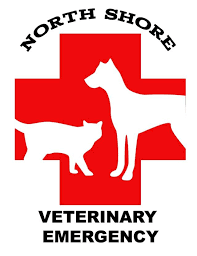 North Shore Veterinary Emergency & Critical Care | Emergency Vet
