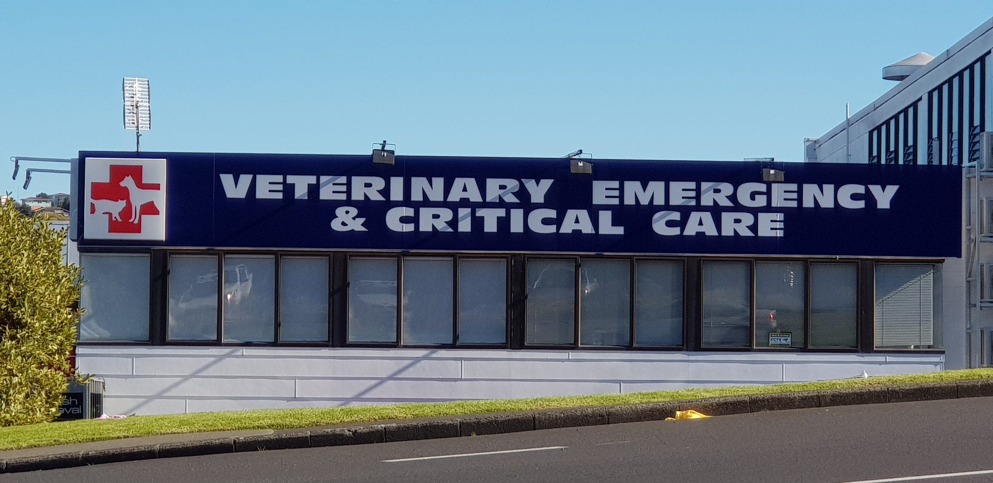 Blog | Emergency Vets