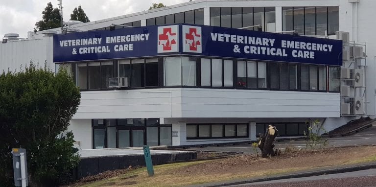 After Hours Vets Auckland - Emergency Veterinary Services